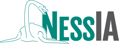 NessIA Services Conseils en Intelligence d'affaires